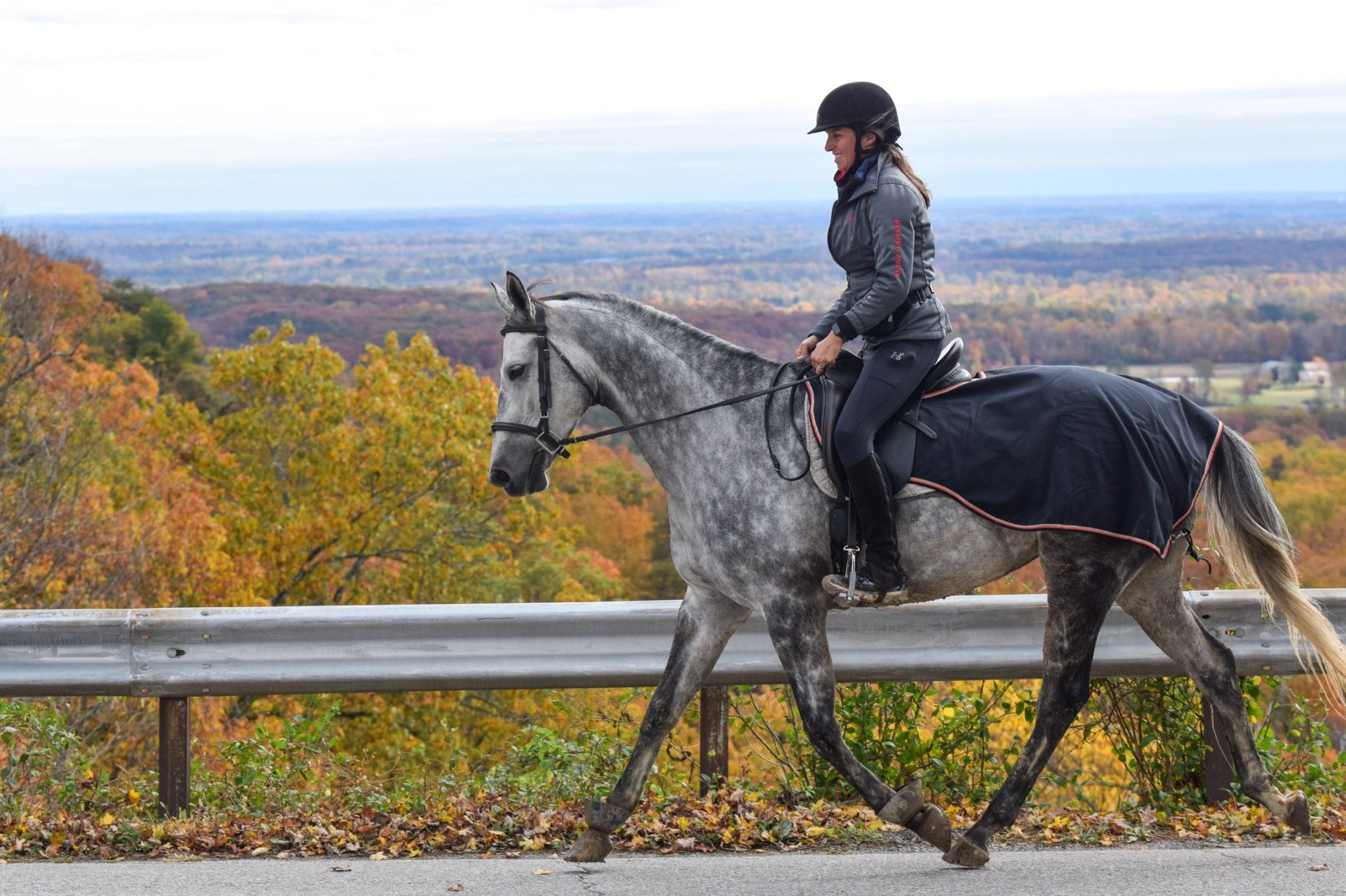Casey's Lear - Thoroughbred Aftercare Alliance