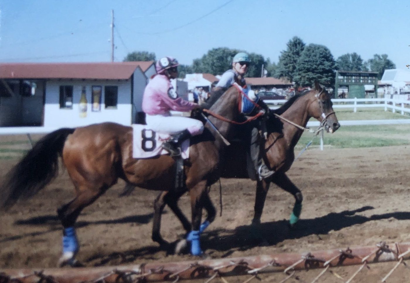 Rowdy Runner - Thoroughbred Aftercare Alliance