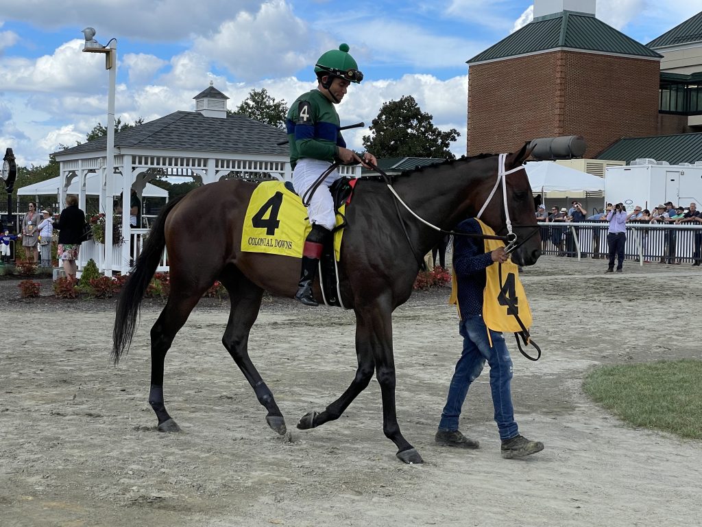 TAA at Virginia Derby Day - Thoroughbred Aftercare Alliance