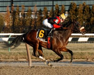 Thoroughbred Aftercare Alliance - Thoroughbred Aftercare ...