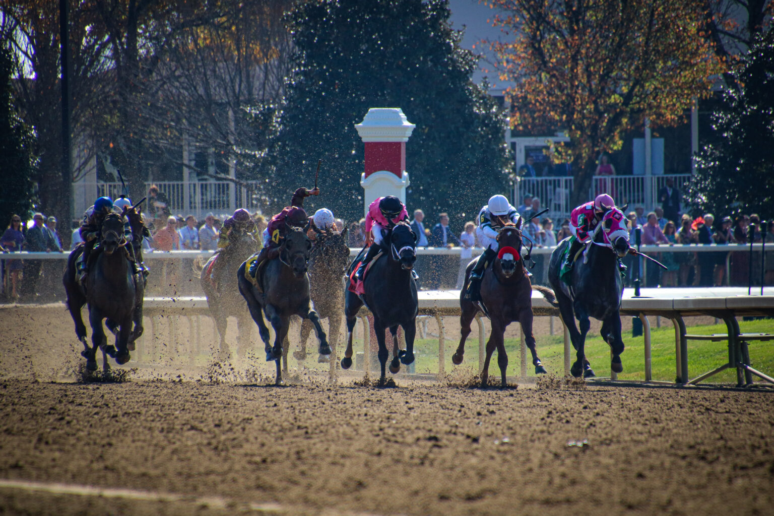 TAA’s Off to the Races and Lexitonian Stallion Season Auction Success ...