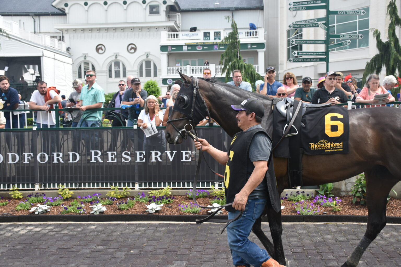 Thoroughbred Aftercare Alliance Present at Churchill Downs During ...