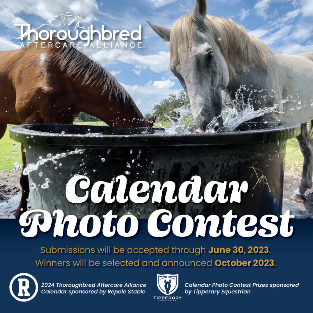 Calendar Photo Contest Submission - Thoroughbred Aftercare ...