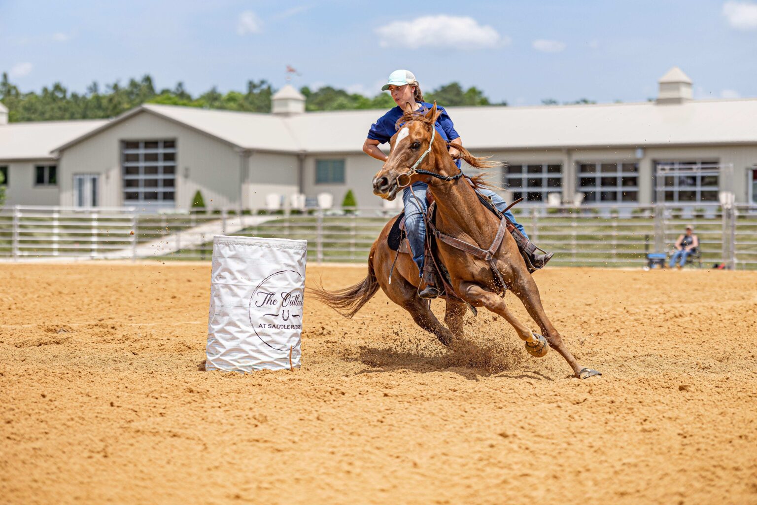 Thoroughbred Aftercare Alliance - Thoroughbred Aftercare ...