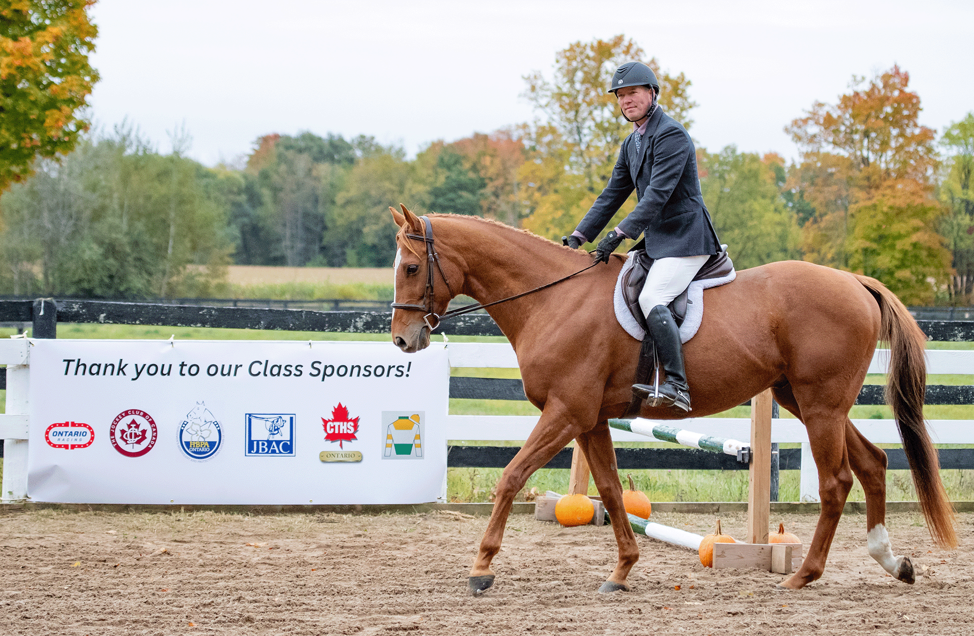 LongRun Thoroughbred Retirement Society - Thoroughbred Aftercare ...