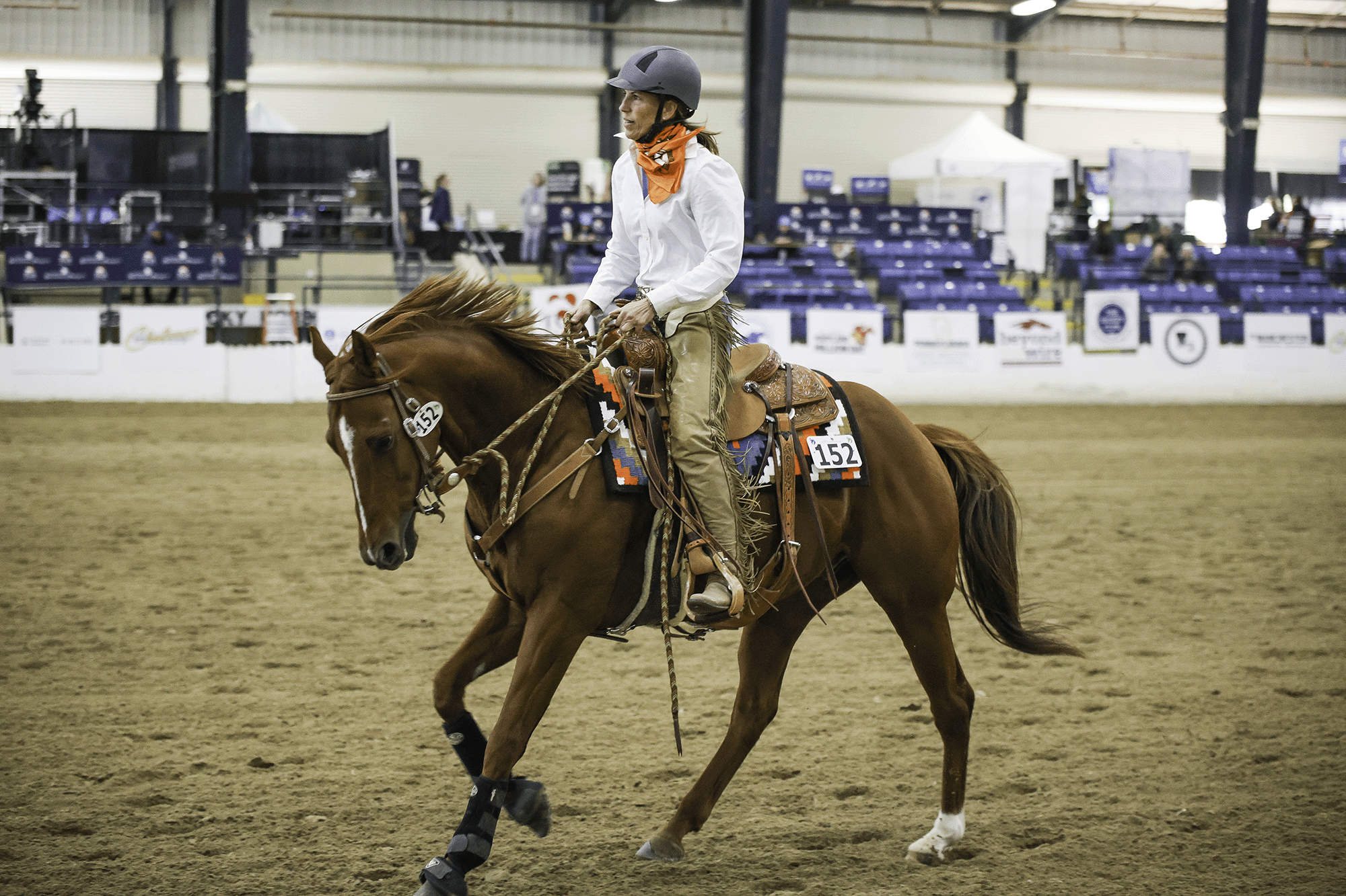 ReRun Inc. - Thoroughbred Aftercare AllianceThoroughbred Aftercare Alliance