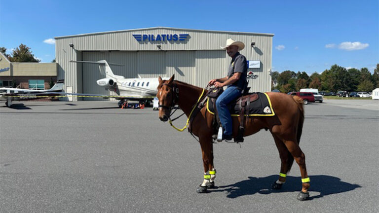 Long Heir: A Second Career in Service - Thoroughbred Aftercare Alliance