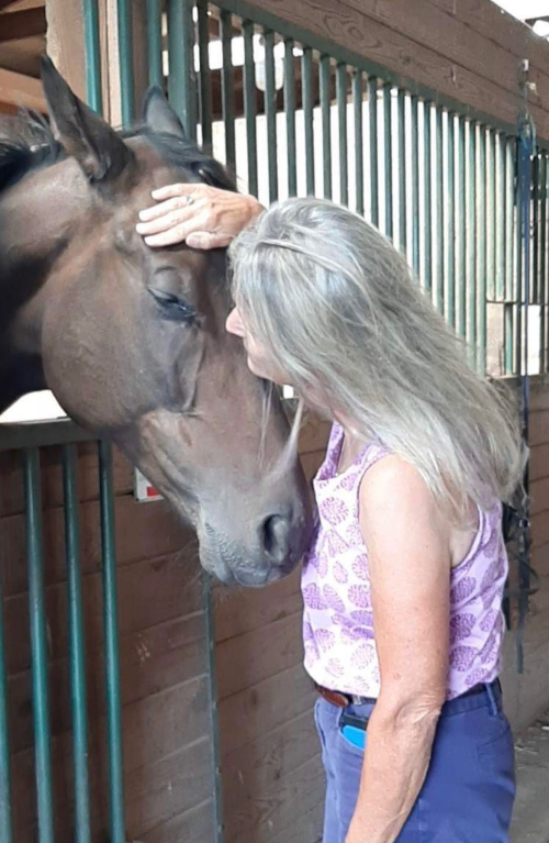 It Takes A Village: Tomater Gator's Soft Landing to OTTB - Thoroughbred ...
